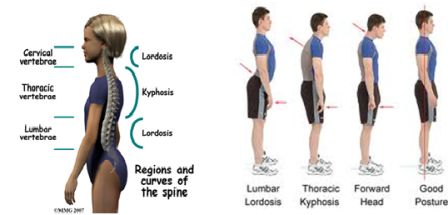 IYCA - The International Youth Conditioning Association : Understanding ...